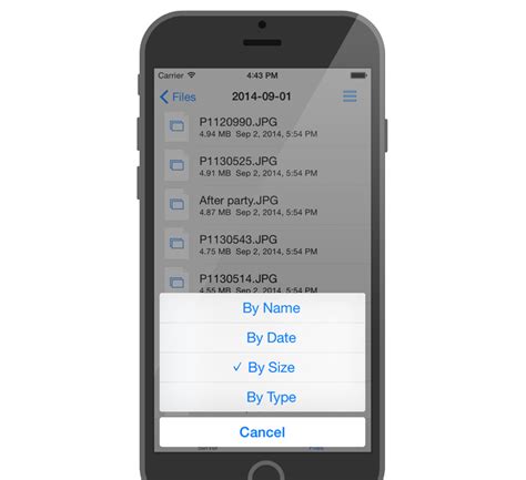 GoodSync Server For IOS