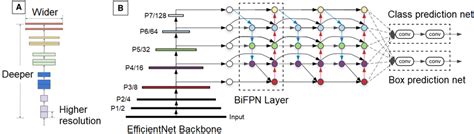 A Efficientnet Architecture Scaling Method That Uniformly Scales All