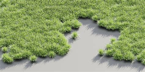 Grass Clumps Vol 152 Blender Cgtrader Grass Clumps Vol 152 Blender Cgtrader