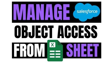 Mass Update Salesforce Object Access Permissions Using Excel Salesforce Geek