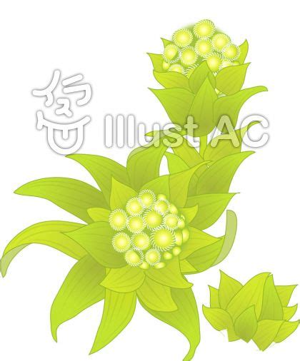 雪解けイラスト／無料イラストなら「イラストac」