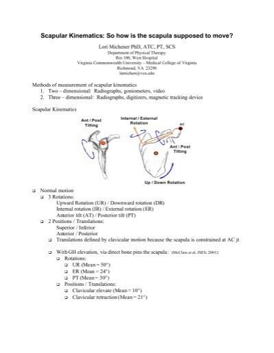 Scapular Kinematics So How Is The Scapula Supposed To Move