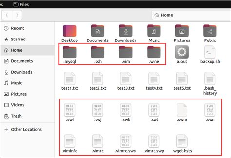Show Hidden Files And Directories In Linux