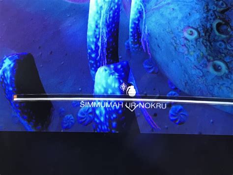 Game Bugged During Solo Flawl3ss I Coulnt Dunk Vestige And Here R The Results R Destiny2