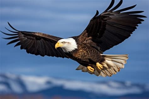 A Majestic Bald Eagle Soaring Through The Sky Premium Ai Generated Image