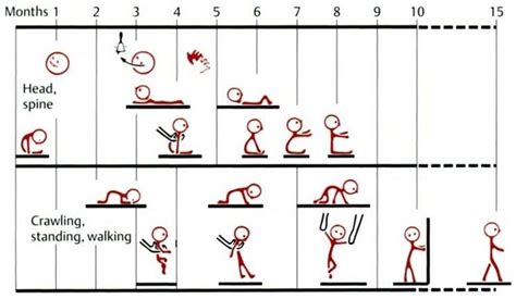 Peds Unit Exam 1 Diagram Quizlet