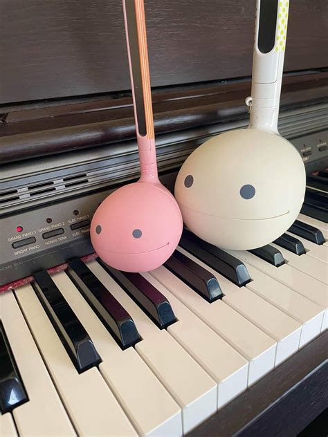 『音合わせ』 連休2日目は よよよさんと母の日の買い物行って、 オタマとデラタマのチューニング。 正しい音と随分ズレてた〜♪｜てるてる