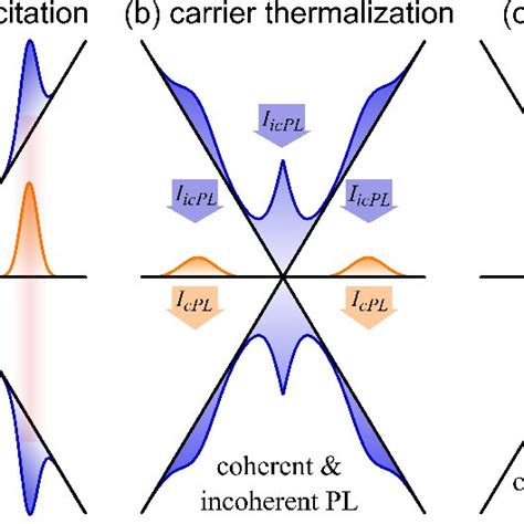 Schematic Illustration Of The Non Equilibrium Dynamics In Optically