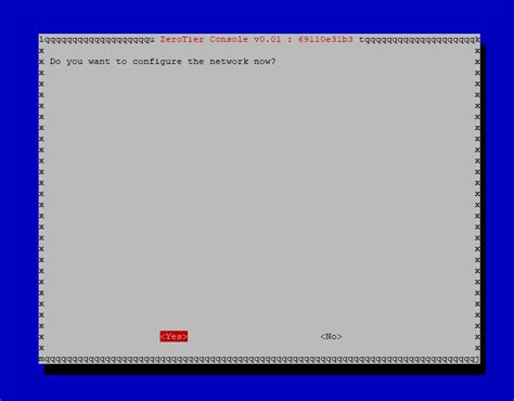 How To Self Host A Zerotier Controller On Debian 11 The Rantings And Ravings Of A Madman