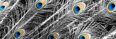 the joy of pattern matching part iii [erlang stuff more]