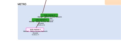 Tooltips Are Not Being Displayed Loopbacks Are Missing Too · Issue 35 · Codeoutinet Henge