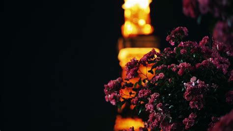 Dolly Reveal Shot Of Tokyo Tower With Stock Footage Sbv 301404420 Storyblocks