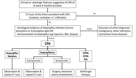 The Spectrum Of Pulmonary Aspergillosis Respiratory Medicine