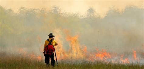 What Is A Heat Wave What Causes Them And More Heat Wave Facts