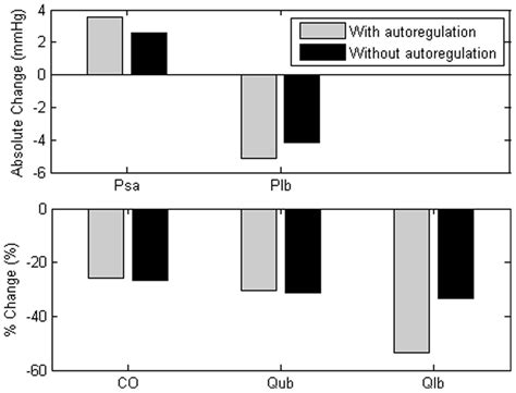 Effect Of Autoregulation On Arterial Pressure Pressure In The Lower