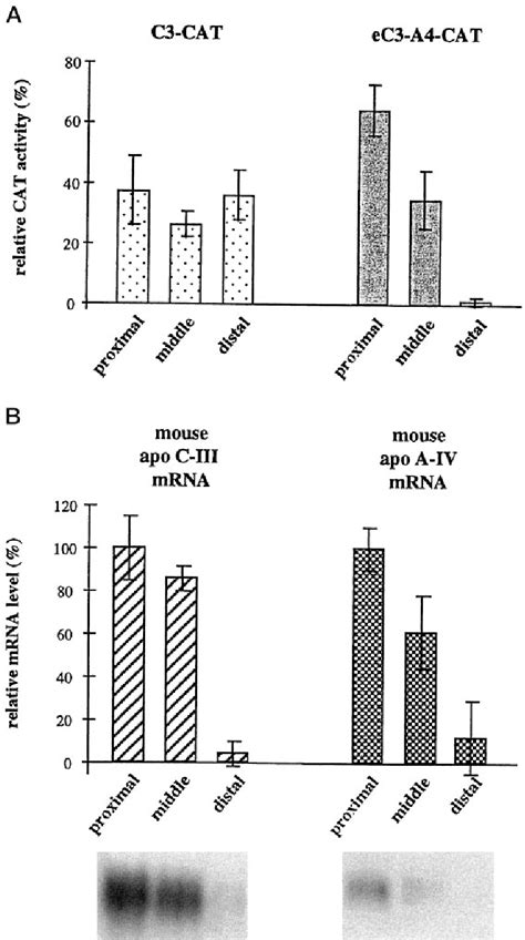 Figure 4 From The 700310 Fragment Of The Apolipoprotein A Iv Gene Combined With The 890500