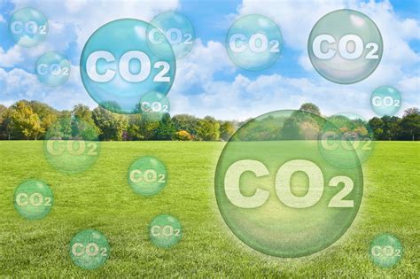 2024最新碳匯是儲存二氧化碳的倉庫一文看懂綠碳ESG永續台灣