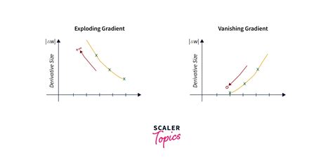 Momentum Based Gradient Descent Scaler Topics