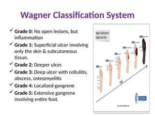Diabetic Foot Ulcer Clinical Features And Management Pptx