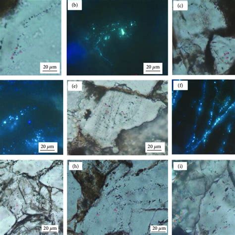 Fluorescence And Homogenization Temperature Of Fluid Inclusions Of The