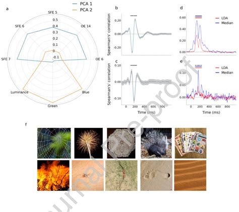Figure 4 From Contribution Of Low Level Image Statistics To Eeg Decoding Of Semantic Content In