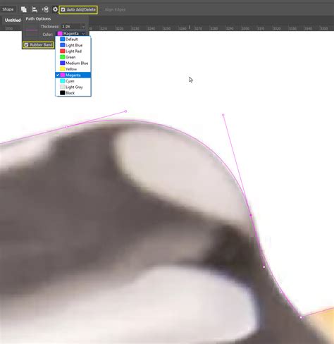 Is It Possible To Assign Path Corners A Different Adobe Community 14498088