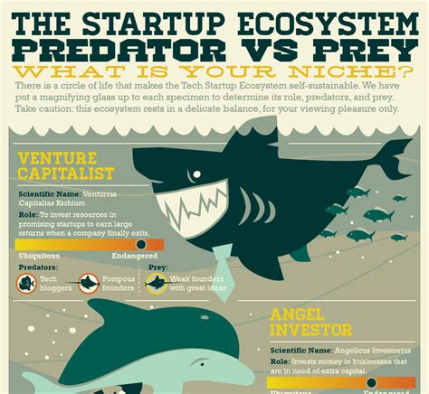 Predation In Ecosystem