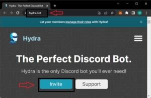Set Up Hydra Bot In Discord Server In Depth Guide GoLinuxCloud