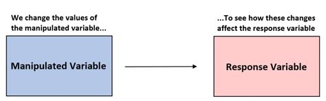 What Is A Manipulated Variable Definition And Example