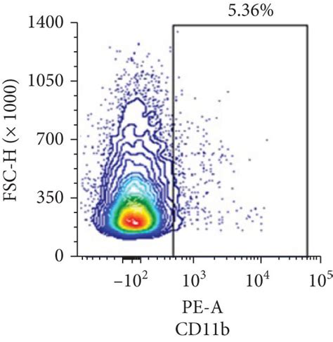 Characterization Of Mscs Flow Cytometry Analysis Of Common Msc Markers
