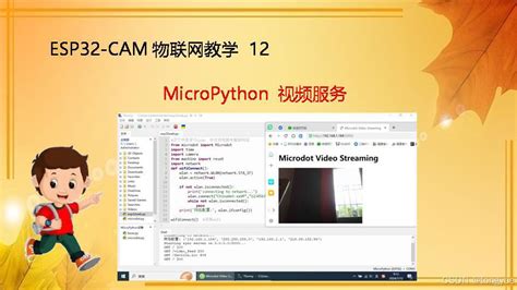 ESP32CAM物联网教学12 小智 micropython CSDN博客