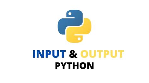 Mastering Python I O Code Examples To Elevate Your Skills