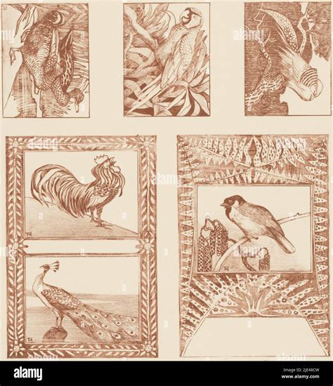 Proof Sheet For Postcards With Birds Theo Van Hoytema 1878 1917