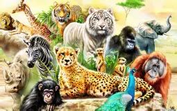 Nette Tiere Tier List Maker TierLists