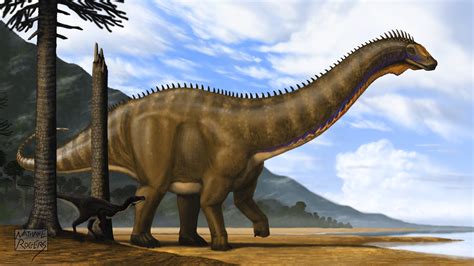 Apatosaurus Hd Wallpapers