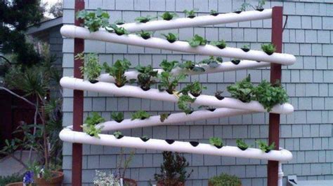 Sistem Nft Dalam Hidroponik