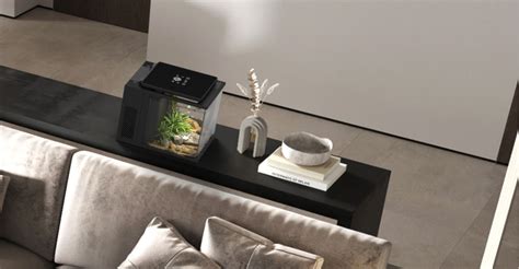 Dice Pico 2 Aio Maxspect