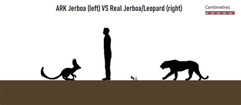 Size Comparison Between Ark Jerboa And A Large Jerboa And Leopard In