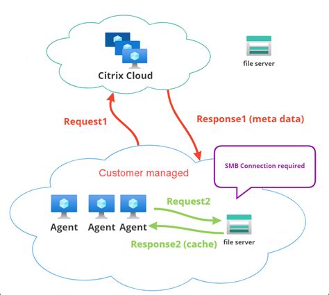 Advanced Settings Workspace Environment Management™ Service