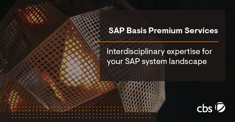 Comprehensive SAP Basis Consulting Cbs Corporate Business Solutions