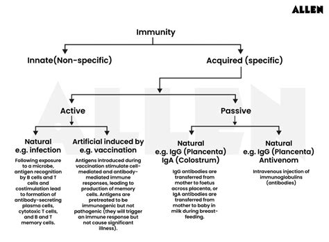 Immunity Definition Types And Faqs