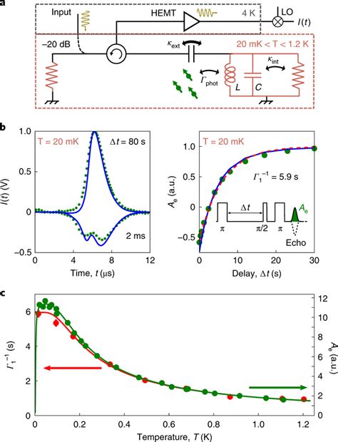 Temperature Dependence Of Spin Relaxation Rate And Polarization A Download Scientific Diagram
