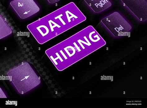 Writing Displaying Text Data Hiding Concept Meaning Secretly Embedding Data In Graphics Images