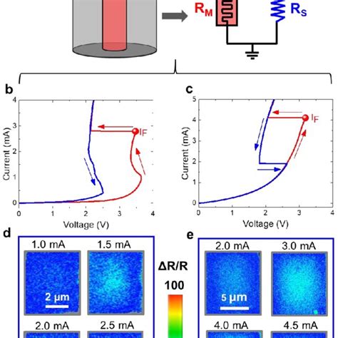 Core Shell Model And Current Bifurcation A Schematic Of The Download Scientific Diagram