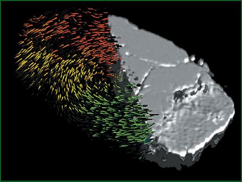 Figure 1 From Image Processing With Imagej Semantic Scholar
