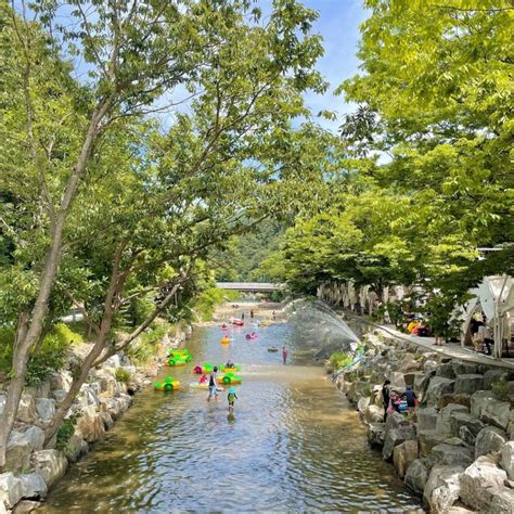 대전 근교 물놀이 충청도 계곡 천안 아산 강당골계곡 용현 계곡 자연휴양림 공주 동학사계곡 네이버 블로그