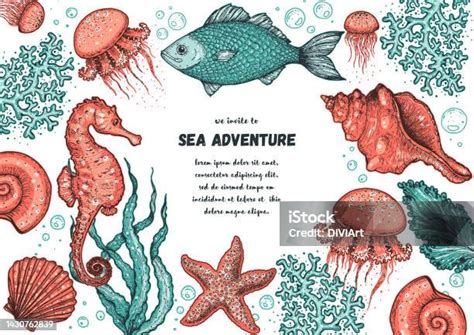수중 세계 손으로 그린 컬렉션 컬러 일러스트레이션 해초 산호 조개 불가사리 해파리 물고기 해마 삽화 빈티지 디자인 템플릿 해저 세계 컬렉션 판화 제작물에 대한 스톡 벡터