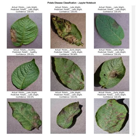 Github Ameenurrehman Deep Learning Project Potato Disease Classification