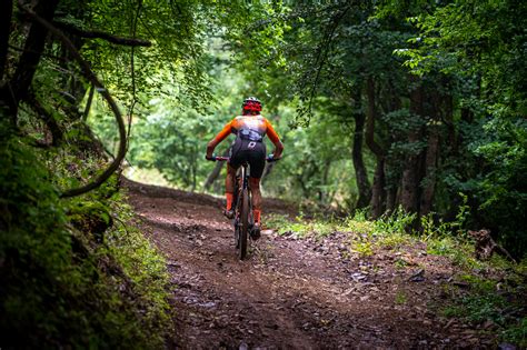 Дивото зове в Маджарово