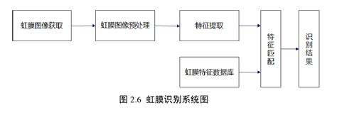 什么是虹膜识别虹膜识别的原理是什么 三个皮匠报告